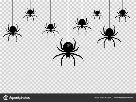Spider Vector Png