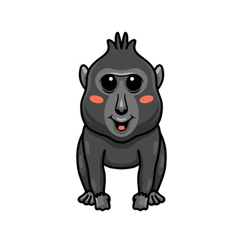 Cute Little Crested Black Macaque Cartoon 14467780 Vector Art At Vecteezy