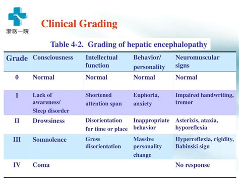 Ppt 肝性脑病 Hepatic Encephalopathy Powerpoint Presentation Free