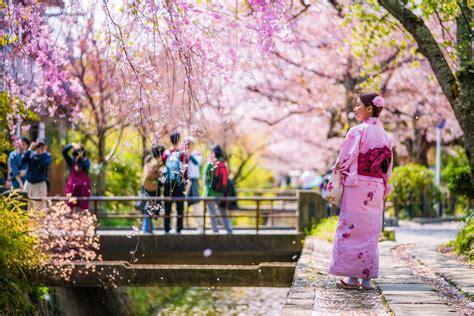 The Philosophers Path Kyotos Canal Walk Japan Nakama