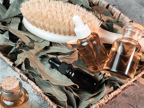 Custom Software Web And Mobile App Development Company India Usa