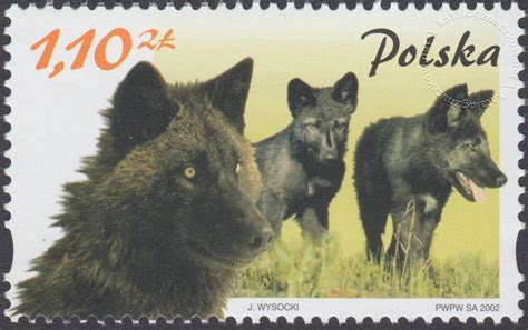 Ssaki I Ich Młode 3810 Katalog Polskich Znaczków Pocztowych