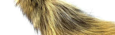 Cifibifun Real Coyote Fluffy Tail Costume Fur Pelts Cosplay