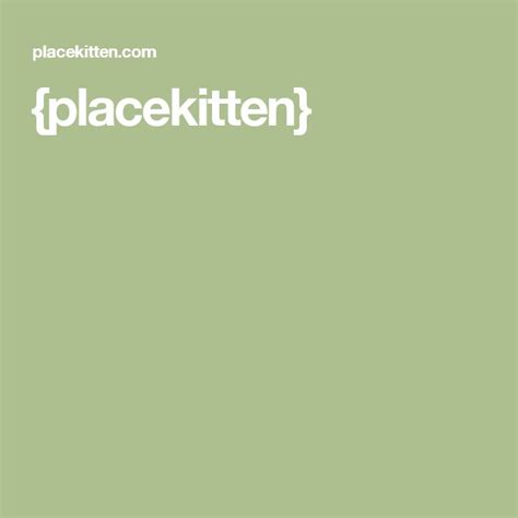 Placekitten Development Coding Incoming Call