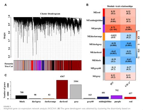 Figure 5 From Construction Of A Co Expression Network Affecting
