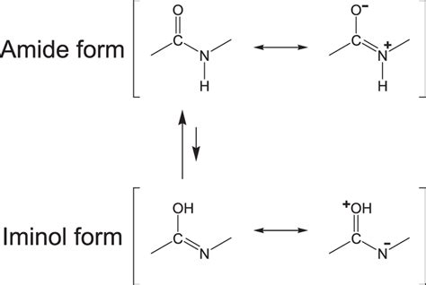 Amide−iminol Tautomerism And Resonance Structures For The Amide Form Download Scientific