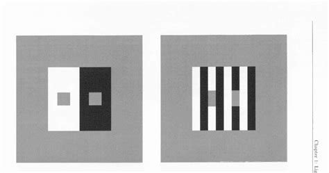 Figure 12 From Scale Space And The Implicit Coding Of Luminance In V1
