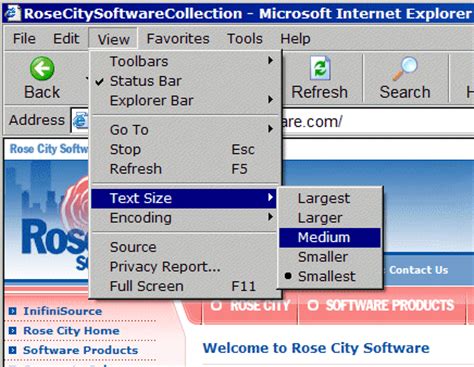 How To Change The Text Size On A Web Page Rose City Software