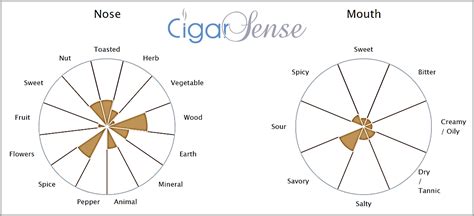 Cigar Recommendations • Cigar Sense