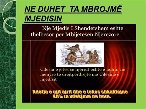 Projekt Ndotja E Mjedisit Pptx