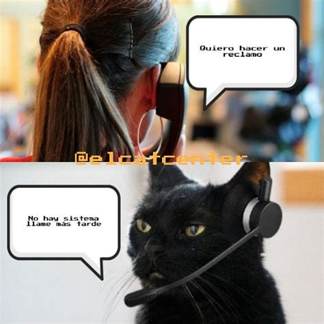 Call Center Cat Meme Hardworking Cat Works In A Call Center With A