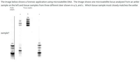 Solved The Image Below Shows A Forensic Application Using