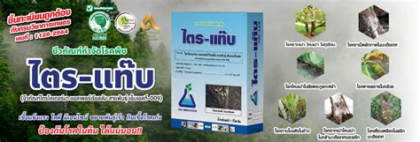 รู้จัก แคลเซียมโบรอน เร่งพืชโตไว ผลผลิตได้คุณภาพ