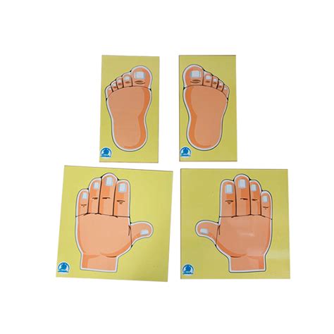 Esquema Corporal Kit Com 11 Peas Ciabrink