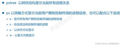 unix c学习笔记10 进程的概念，相关命令，父子孤尸，进程标识，创建子进程 m0 62089823的博客 csdn博客