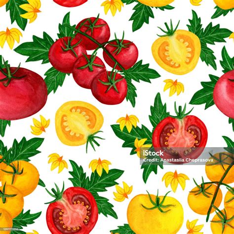 흰색 배경에 수채화 토마토 원활한 패턴 야채 잎 꽃 반복 일러스트 연속무늬에 대한 스톡 벡터 아트 및 기타 이미지 연속무늬 수채화 토마토 채소 Istock