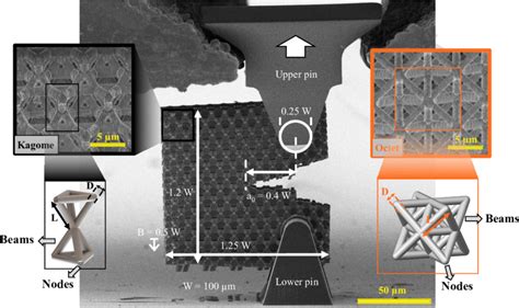 Overview Of In Situ Fracture Experiments On Nano Architected Ct Download Scientific Diagram