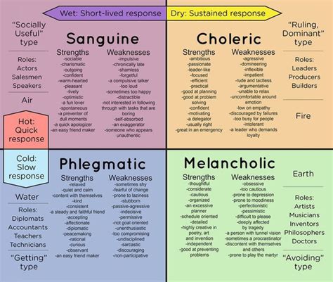 Temperament Understanding Why You Act The Way You Do Hubpages