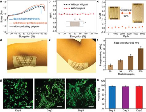 Behaviors Of Cnff‐based Kirigami Devices For Wearable Applications A