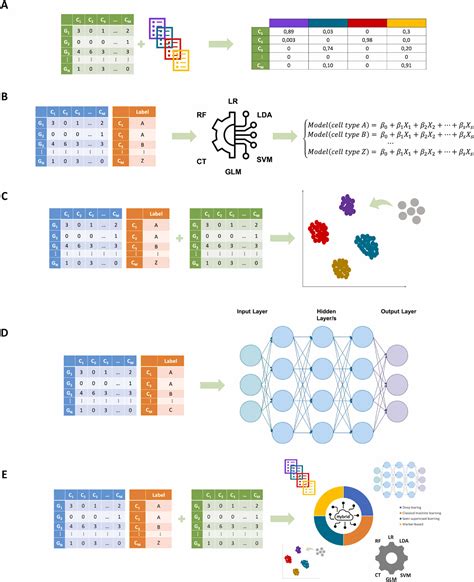 Mapping Cell Identity From Scrna Seq A Primer On Computational Methods