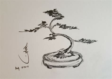 Japanese Bonsai Trees Drawing