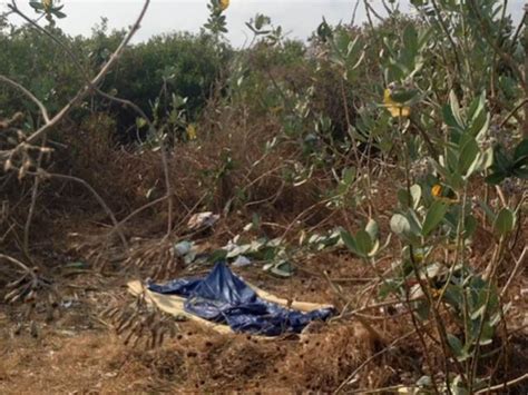 Những cô gái bay đêm Tin tức hình ảnh mới nhất