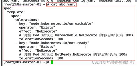十二 Kubernetes Pod 与 探针pod探针 Csdn博客