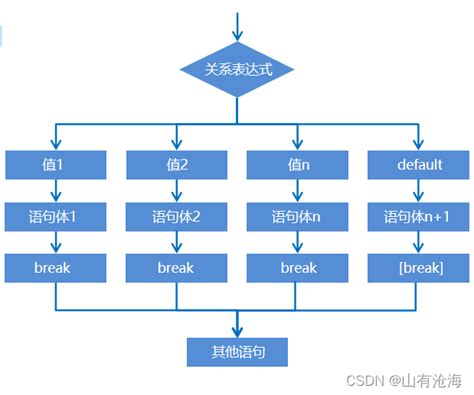 Java学习篇流程控制语句：分支语句、循环语句switch语句执行流程图 Csdn博客