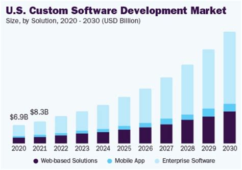 Growth In Businesses Through Custom Software Development