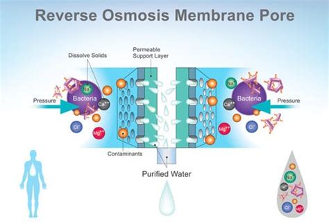 Reverse Osmosis Purification Treat My Water
