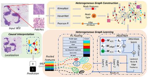 Figure 1 From Histopathology Whole Slide Image Analysis With
