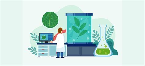 Neet Level Botany Faculty Job Description Neet Level Botany Faculty Job Description