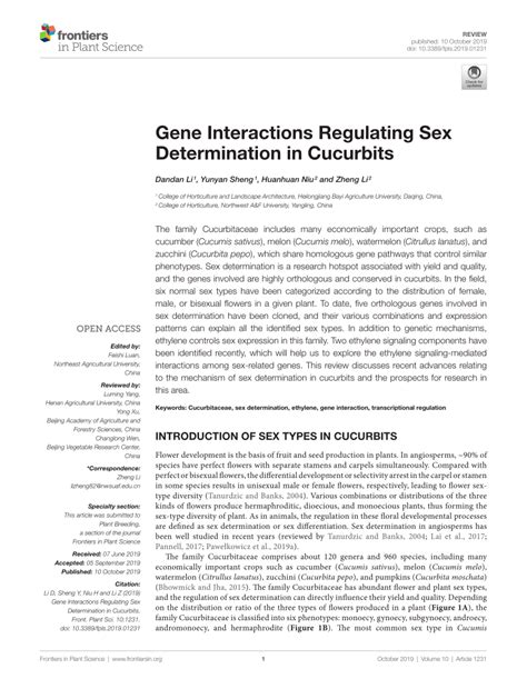 Pdf Gene Interactions Regulating Sex Determination In Cucurbits