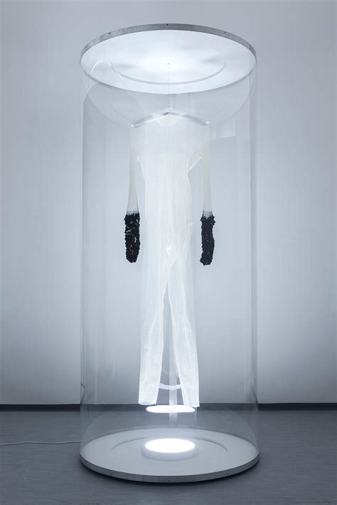 Morphogenesis On Behance