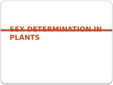 Pptx Sex Determination In Plants Dokumen Tips