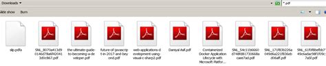 C Directorygetfiles Returns Unexpected Results With Searchpattern