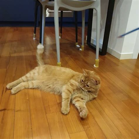 잘 놀다가 갑자기 왜그래 Youtube