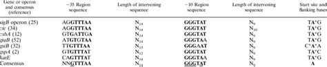 Promoter Regions Of Known Sigb Dependent Genes A Download Table