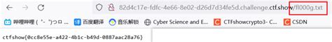 《ctfshow Web入门》01 Web 1~10ctfshow Web1 Csdn博客
