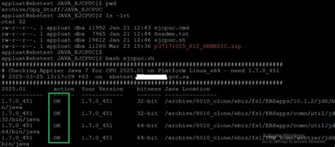 Upgrade Jdk To The Latest Java On The Apps Syed Raheel Dbasyed Raheel Oracle Core And Ebs Apps Dba