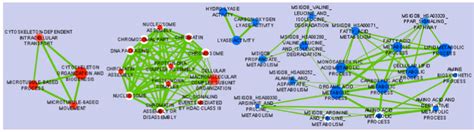 Enrichmentmap Cytoscape App 2 2 — Enrichmentmap 2 2 Documentation