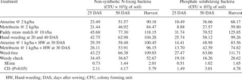 Effect Of Weed Management Practices On Population Of Non Symbiotic