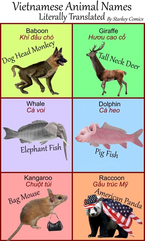 Vietnamese Animal Names Starkey Comics