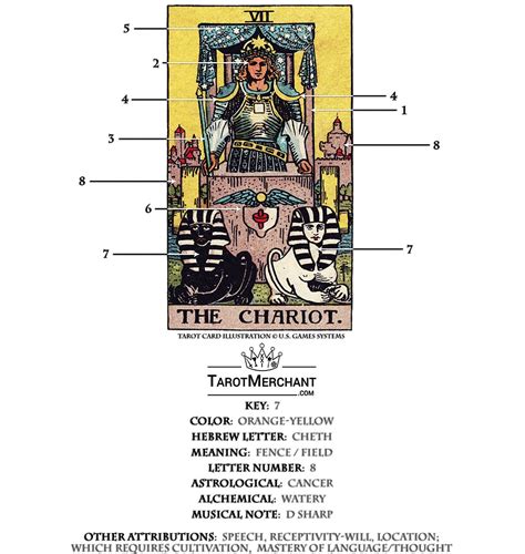 The Chariot Tarot Card Meaning Artofit