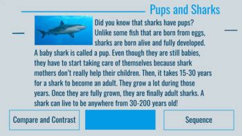 Text Structures Slides By Meg S Babe Shop TPT