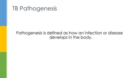 Tuberculosis Ppt Download