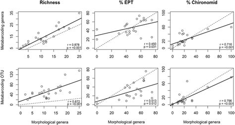 Pearson Correlations Between Common Morphological And Dna Metabarcoding Download Scientific