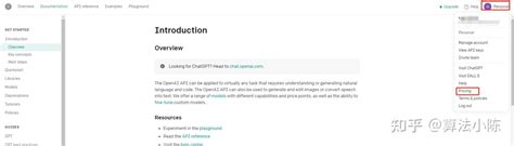 Openai开发系列（五）：实现jupyter本地环境下的openai Api调用 知乎