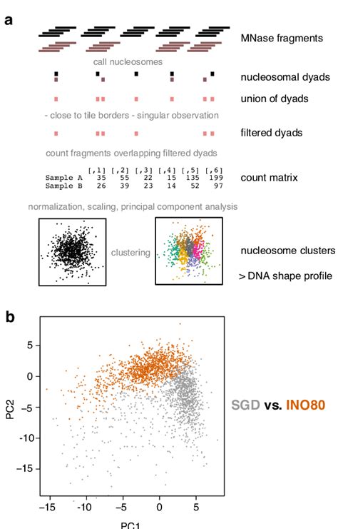 Principal Component Analysis Pca Clustering Approach A Schematic Of