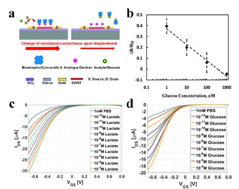 Cntfet Based H2o2 Sensor A Schematic Of A Cntfet For Glucose Sensing Download Scientific